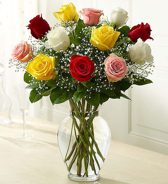 Rose Elegance Premium Long Stem Assorted Roses : Rutherford, NJ Florist ...